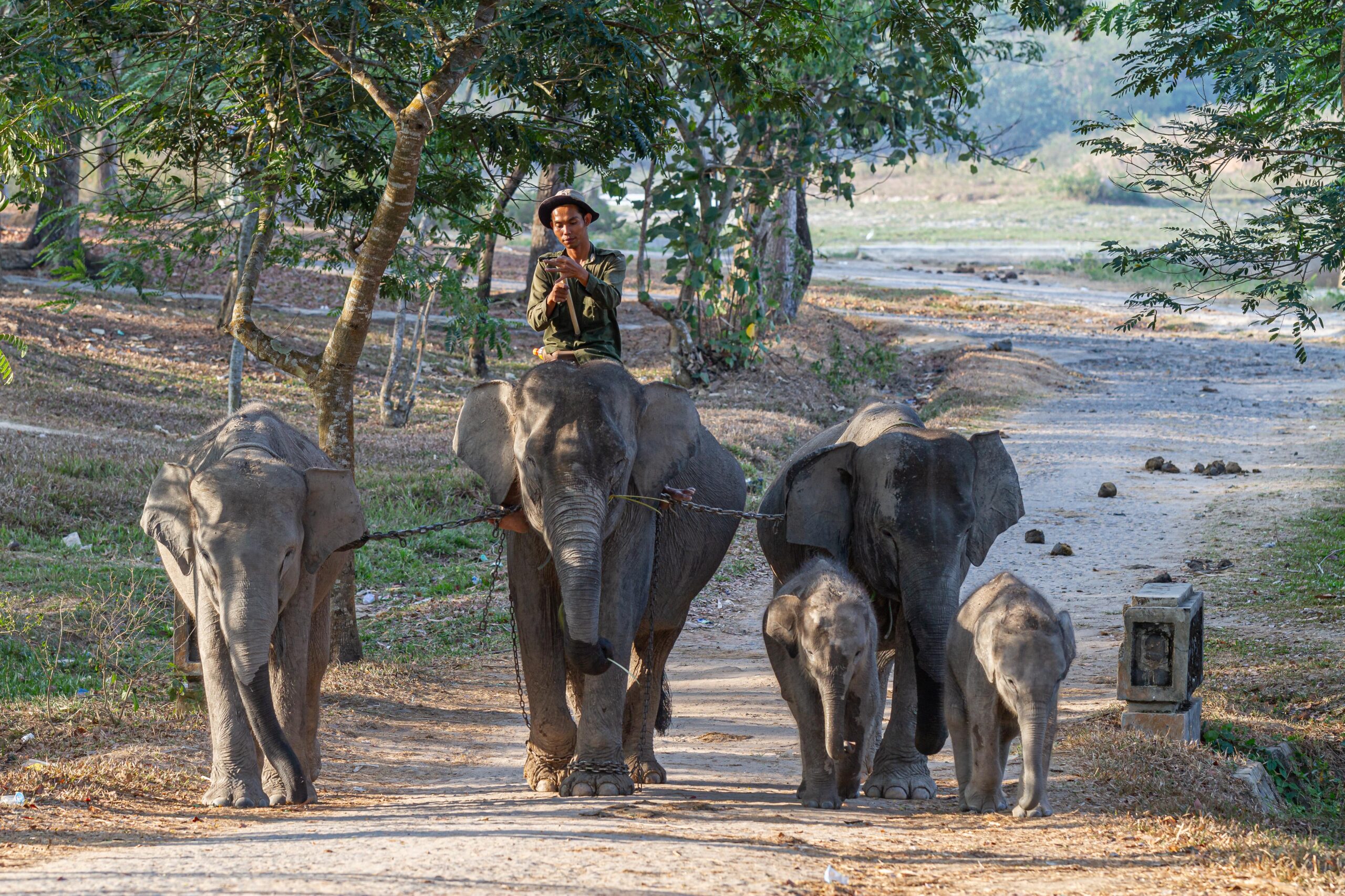 Way Kambas National Park - South Sumatra - Photography by Toine IJsseldijk